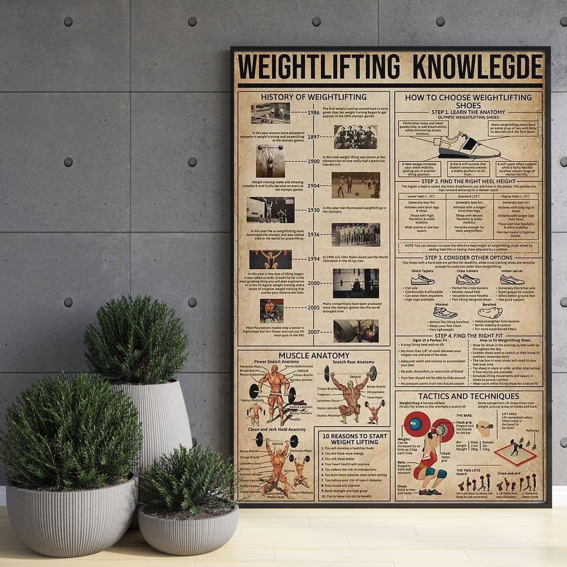 Weightlifting Knowledge Art, History of Weightlifting, Gym Decoration ...
