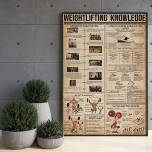 Weightlifting Knowledge Art, History of Weightlifting, Gym Decoration ...