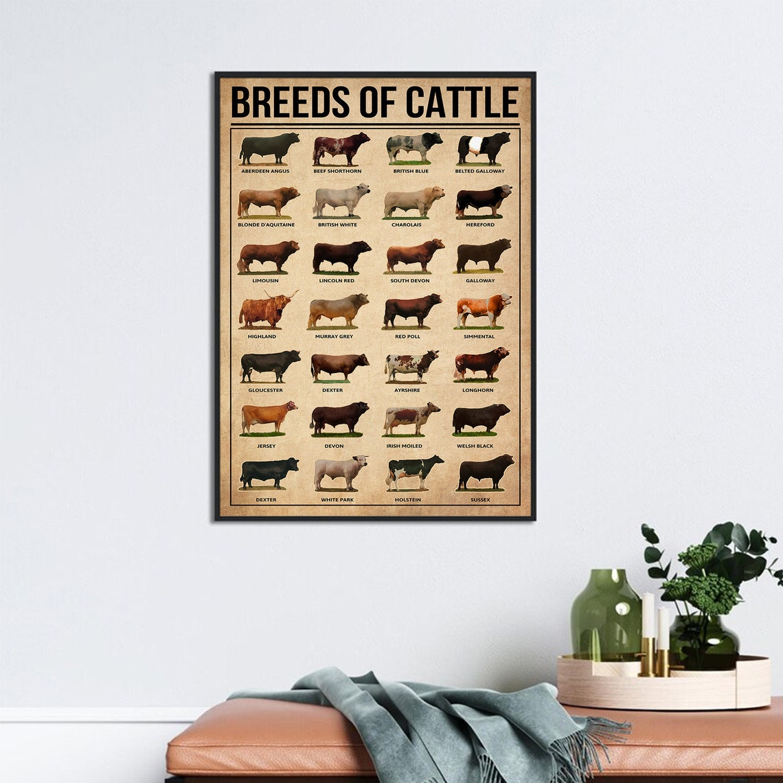 Breeds of Cattle Poster, Types of Cattle, Cattle Knowledge, Vintage ...