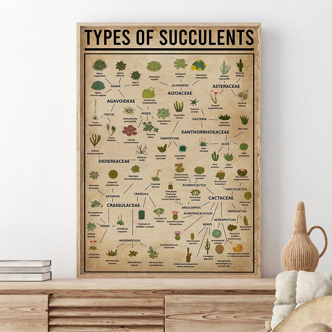 Types of Succulents Unframed Poster, Boho Desert Botanical Print ...
