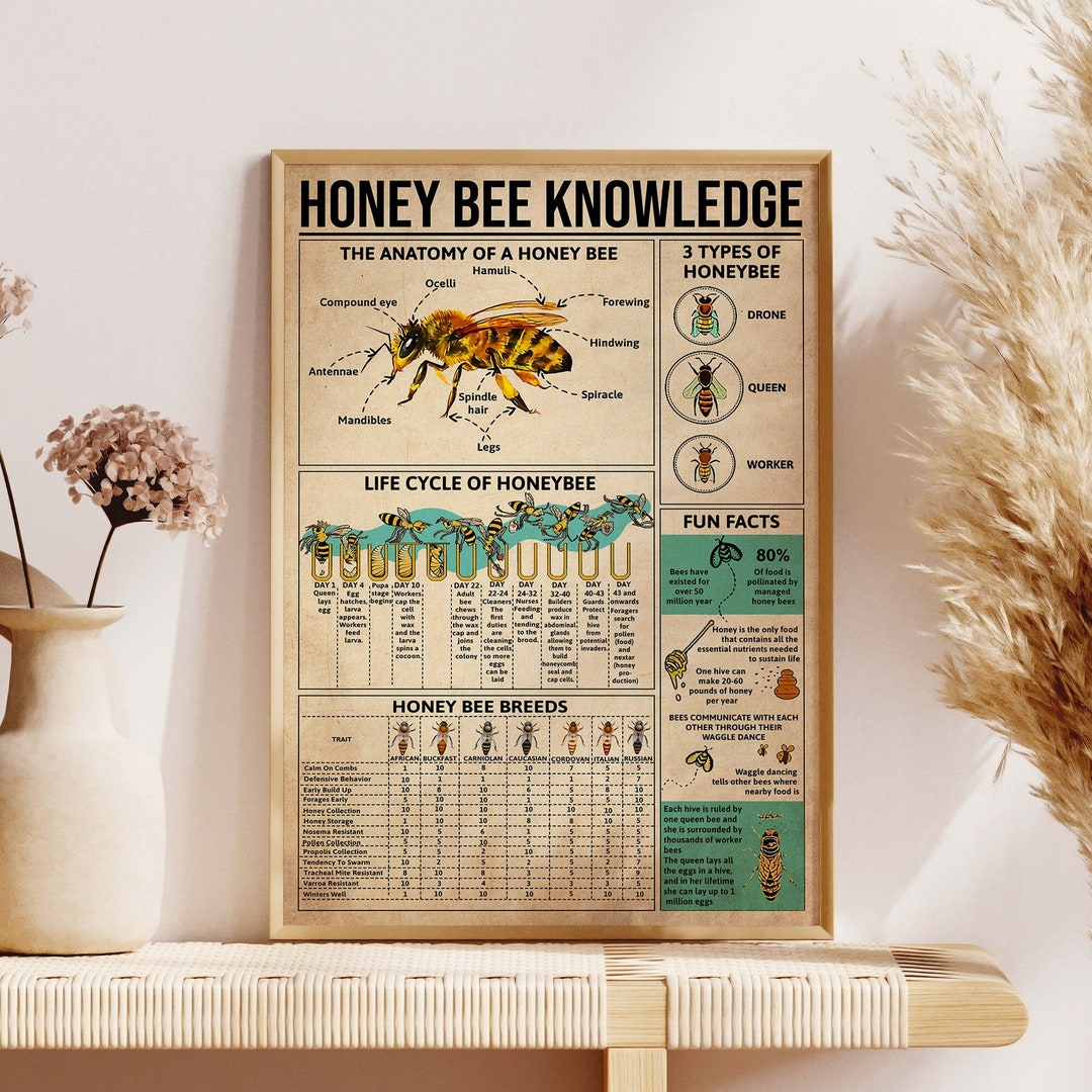 Honey Bee Knowledge Poster, Bee Home Decor, Honey Bee Wall Decor, the ...