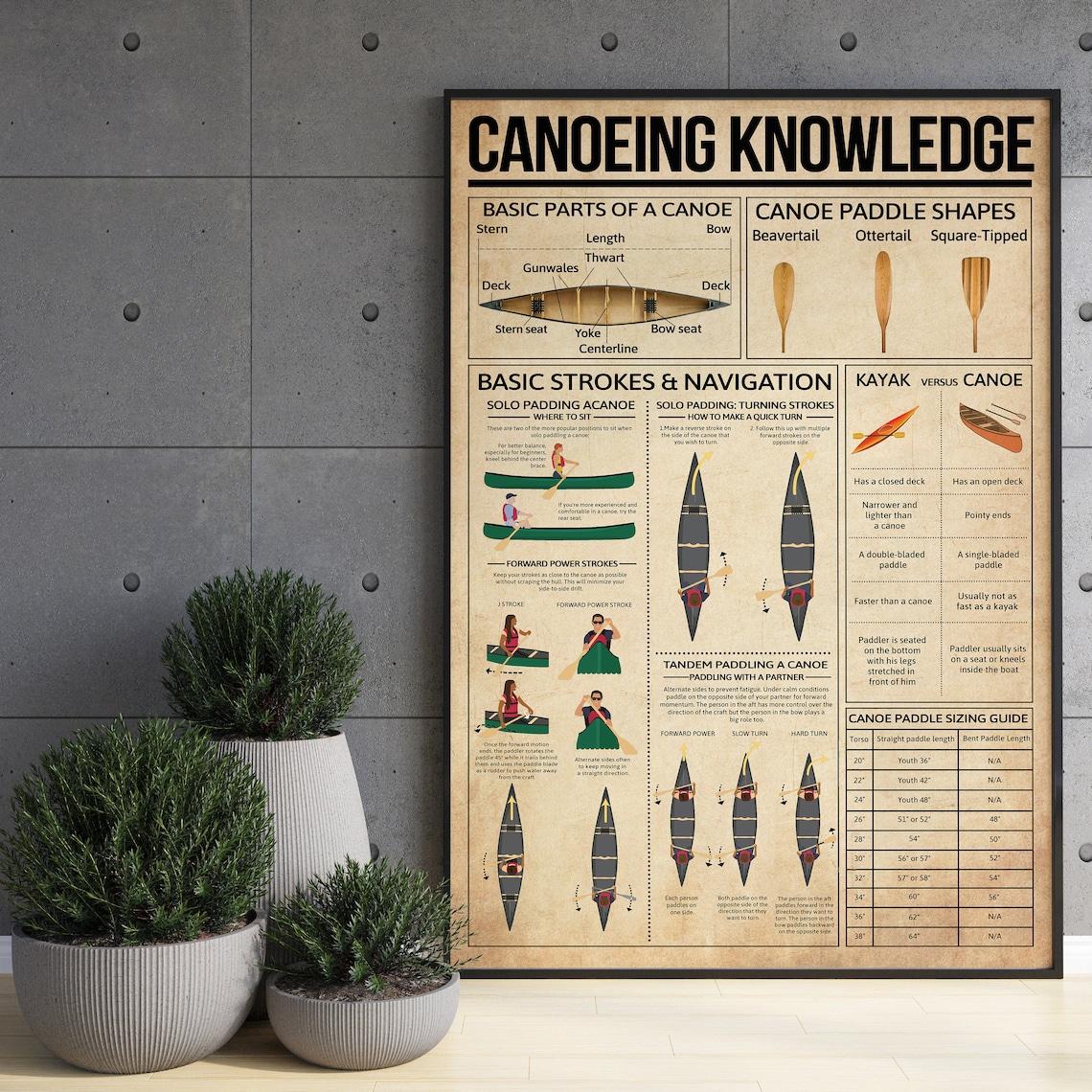 Canoeing Knowledge Poster, Basic Parts of A Canoe, Canoe Paddle Shapes ...