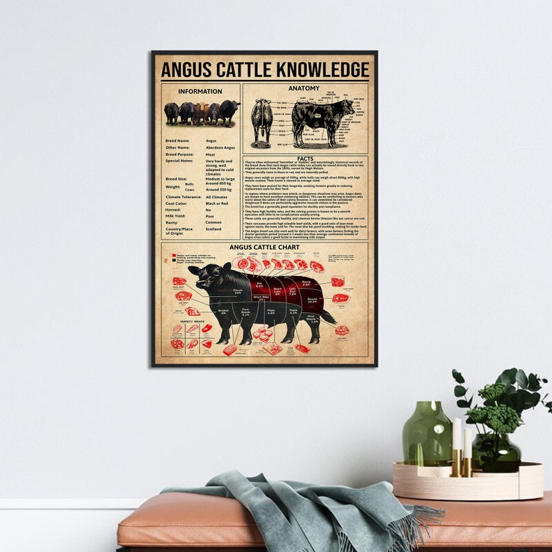 Angus Cattle Knowledge Poster, Vintage Augus Beef Print, Kitchen ...