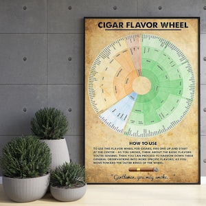 Cigar Flavor Wheel, Cigar Knowledge Poster, Vintage Cigar Poster, Cigar ...