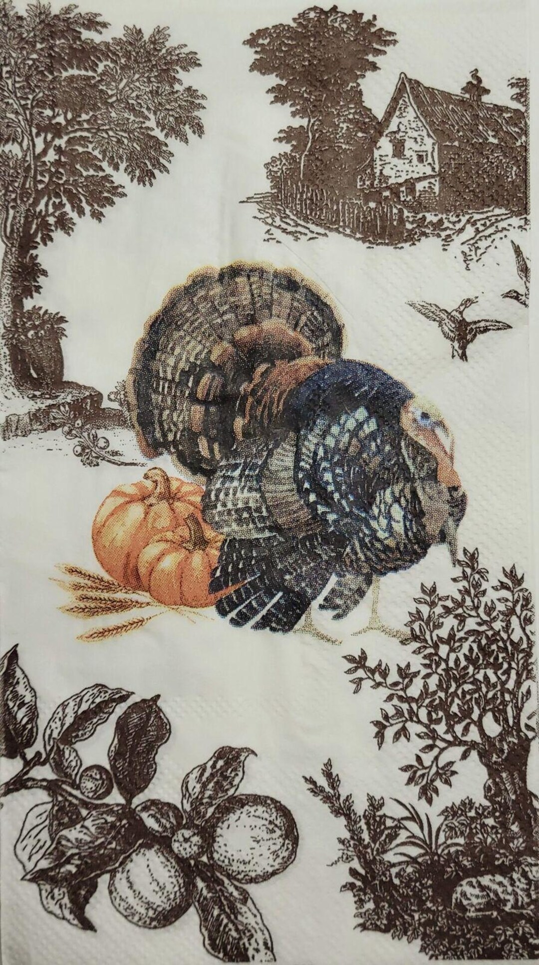 TWO Individual Paper Guest Decoupage Napkins 2504 Brown Harvest Turkey ...