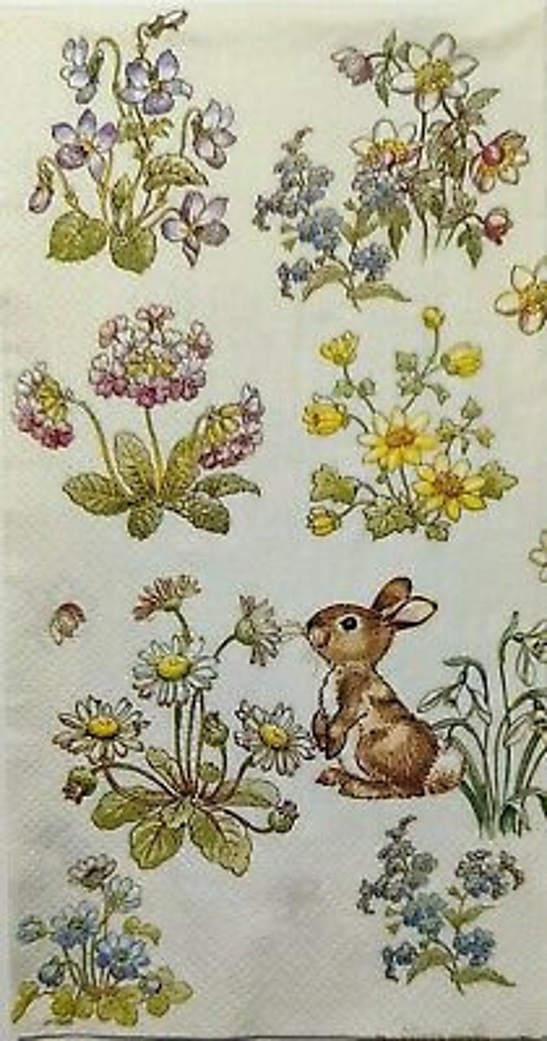 TWO Individual Paper Guest Decoupage Napkins - 1837 Curious Little ...