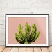 Cactus Printable, Cactus on Pink, Cactus Wall Art, Cactus Print, Blush ...