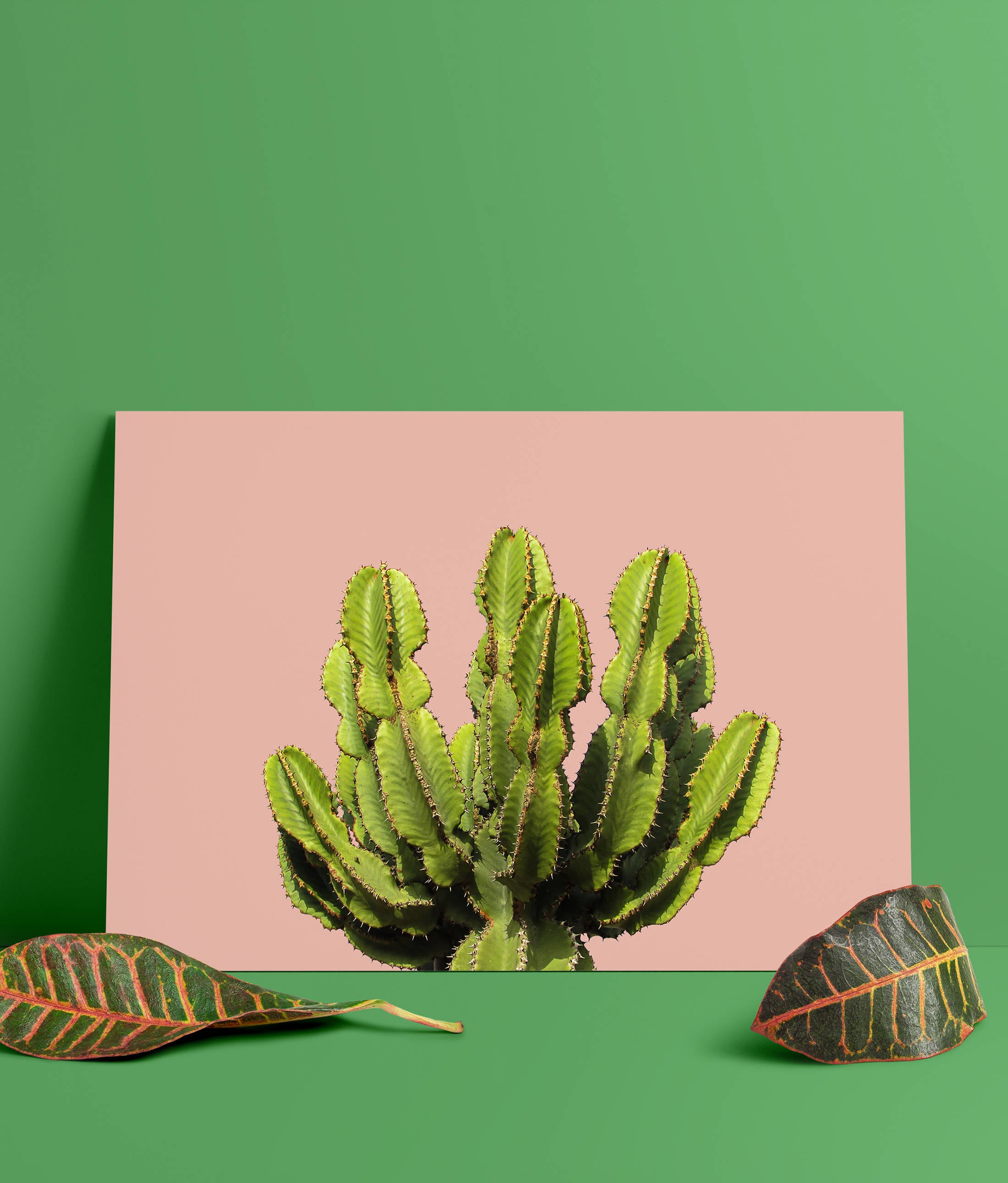 Cactus Poster Cactus Art Cactus Print Cactus Prints Cactus | Etsy