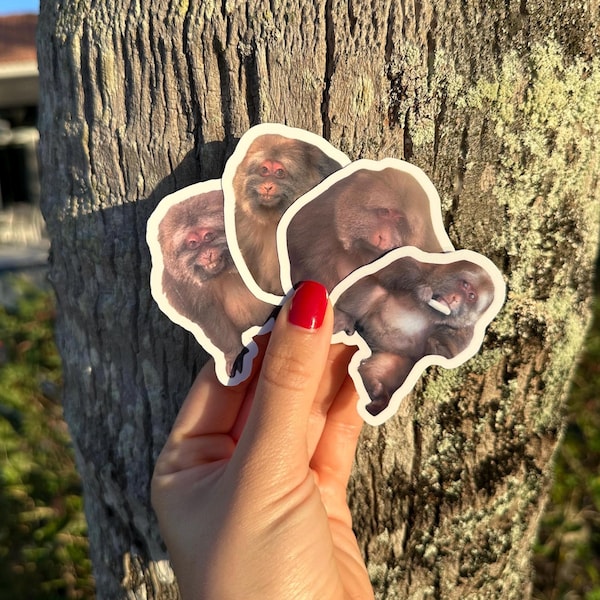 Meme Stickers Monkey - Etsy