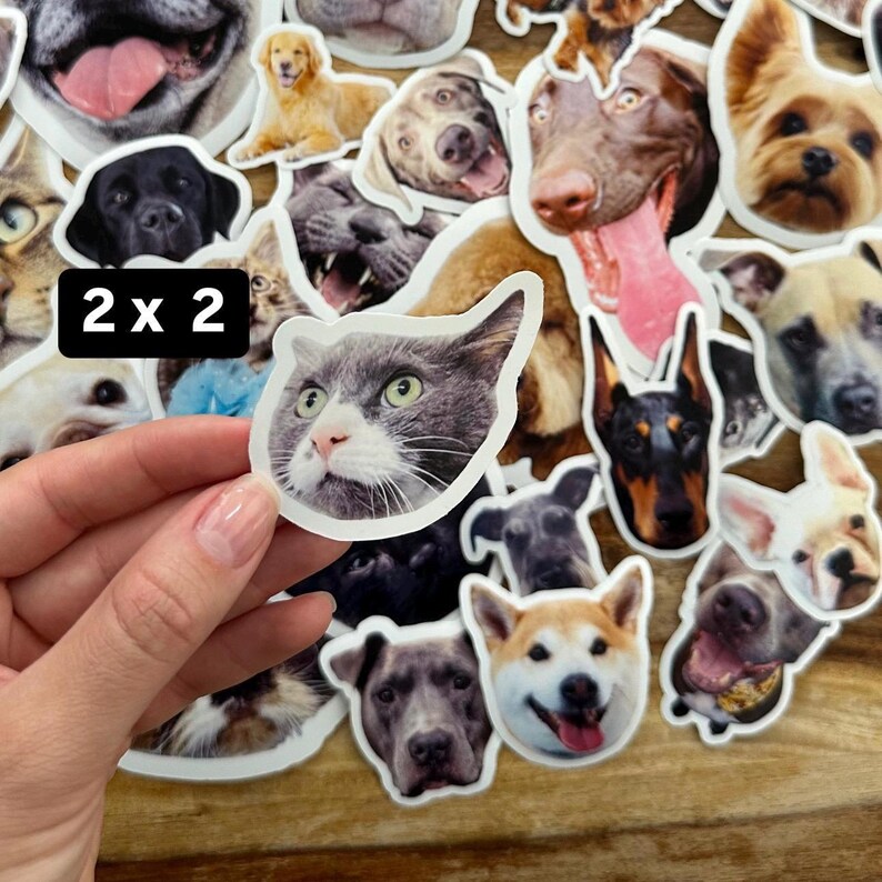 Custom Pet Stickers, Custom Dog Stickers, Custom Cat Stickers, Custom ...