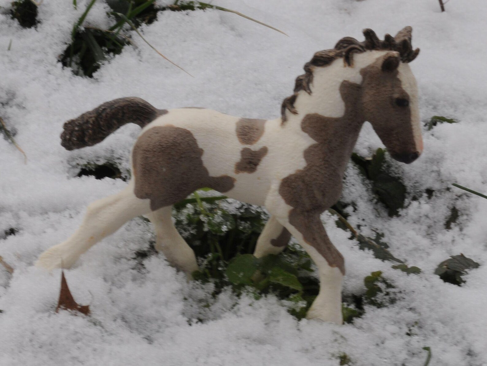Schleich Tinker Foal #13774 - Brown & White Spotted Horse W/ Short Mane ...