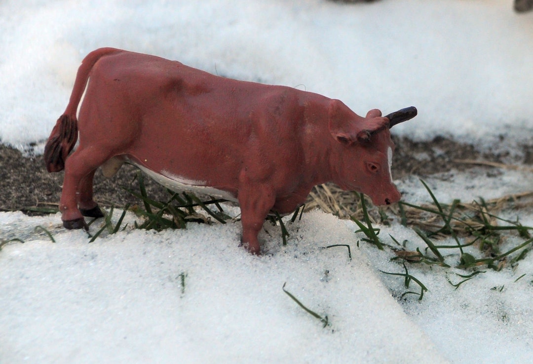 Vintage Britain's Plastic Bull - Vintage 1970s - Figurine / Figure Mini ...