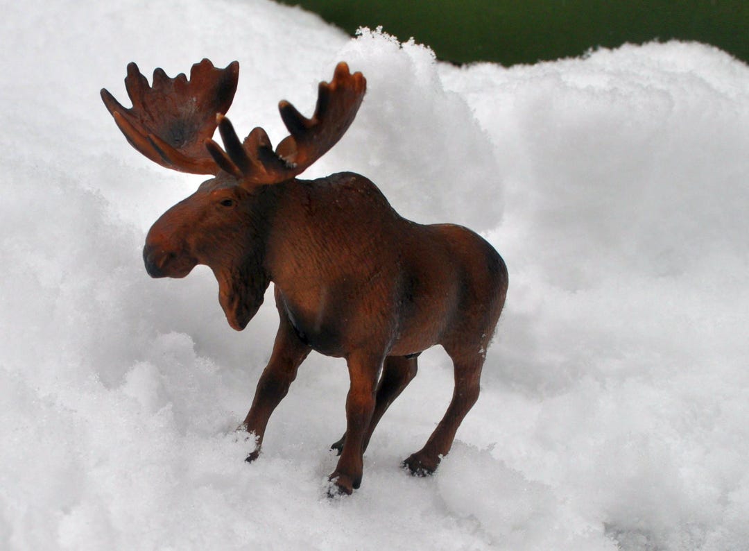 Schleich #14310 Bull Moose Figurine - DISCONTINUED - Diorama ...