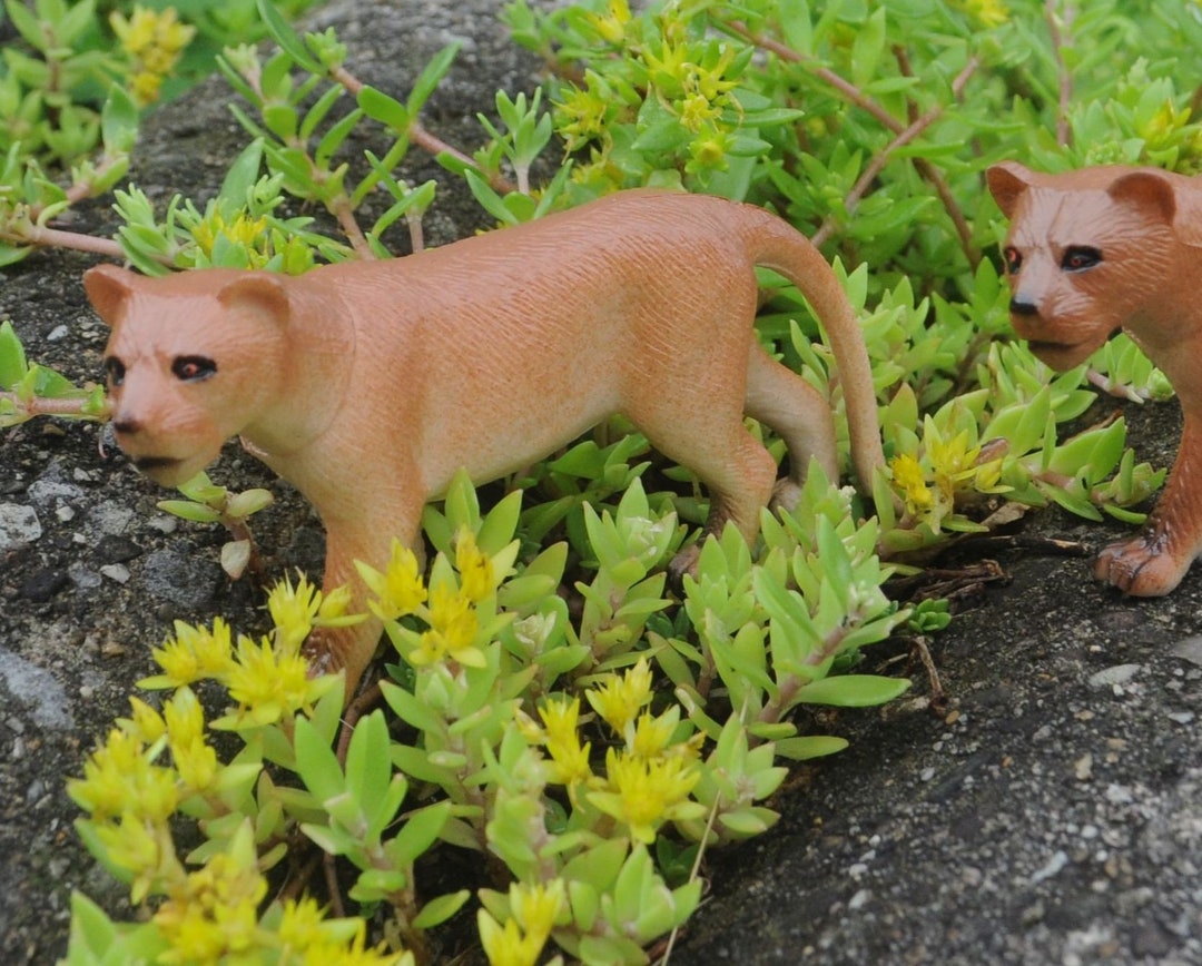Vintage Lioness / Female Lions Figurines for Diorama, Display ...