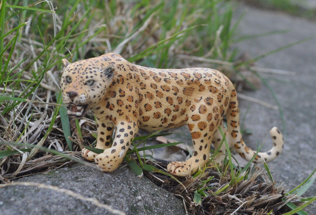 DISCONTINUED Schleich Leopard #14360 - Big Cat - Figurine for Diorama ...