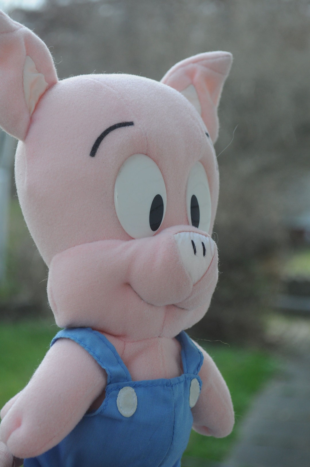 Vintage Tiny Toon Adventures Plushie Hampton J. Pig Kawaii / Cute ...