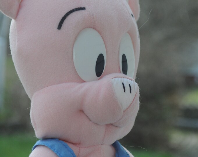 Vintage Tiny Toon Adventures Plushie Hampton J. Pig Kawaii / Cute ...