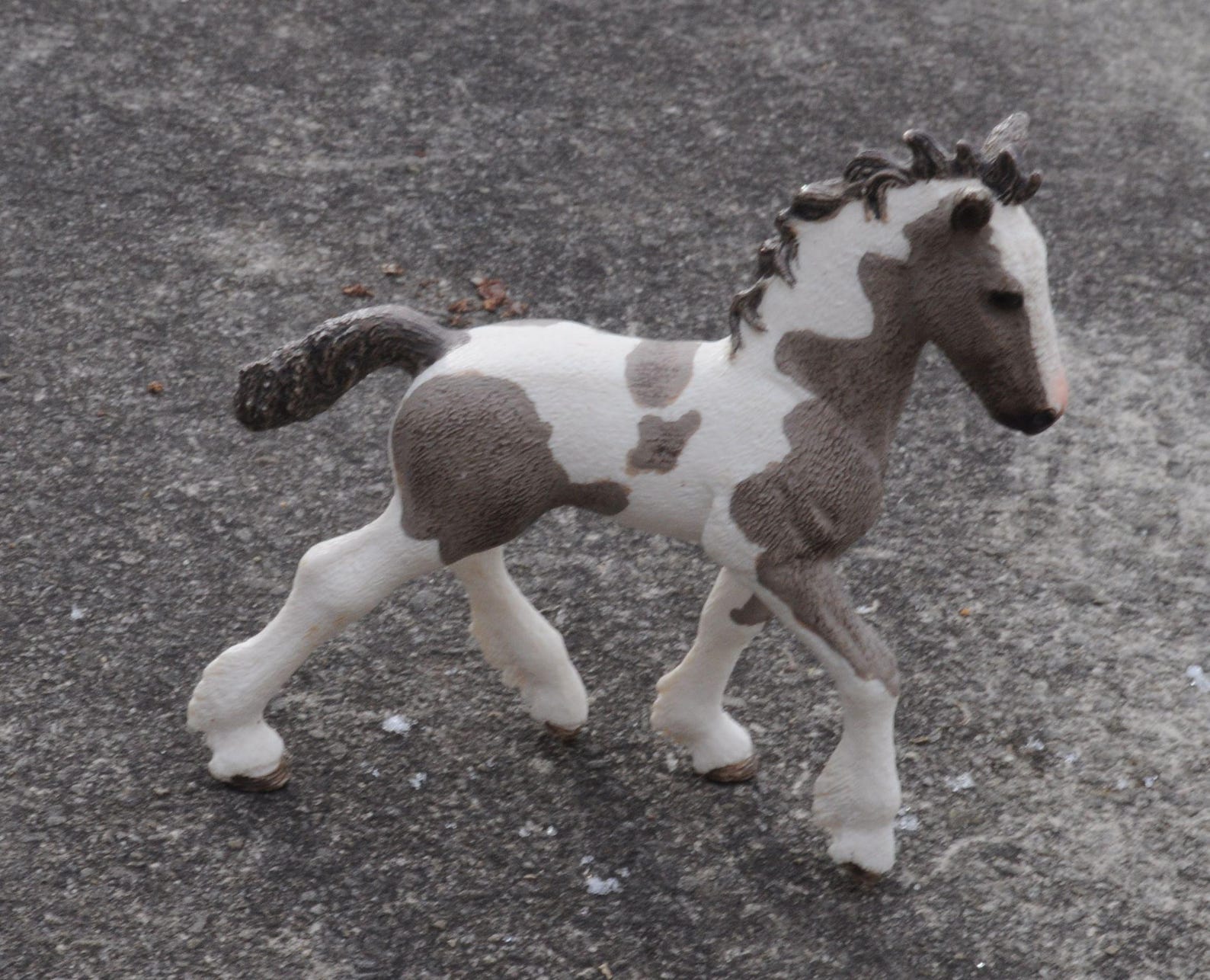 Schleich Tinker Foal #13774 - Brown & White Spotted Horse W/ Short Mane ...