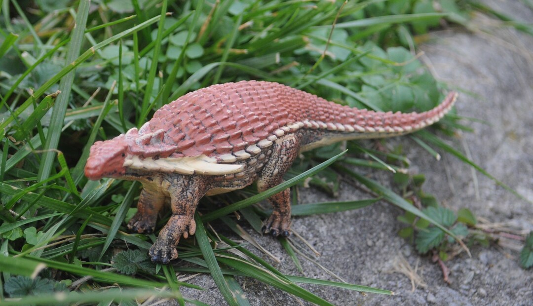 Collecta #88841 Borealopelta Dinosaur / Ankylosaurus - Figurine for ...
