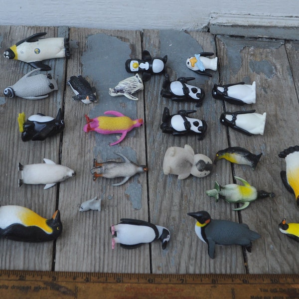 Miniature Penguin - Etsy