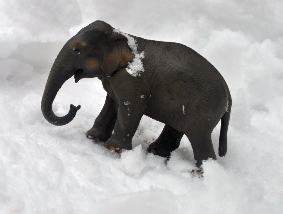 DISCONTINUED Schleich Indian Elephant #14344 - 2005 Figurine for ...