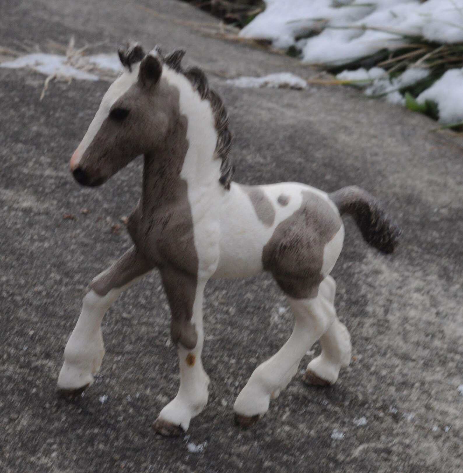 Schleich Tinker Foal #13774 - Brown & White Spotted Horse W/ Short Mane ...