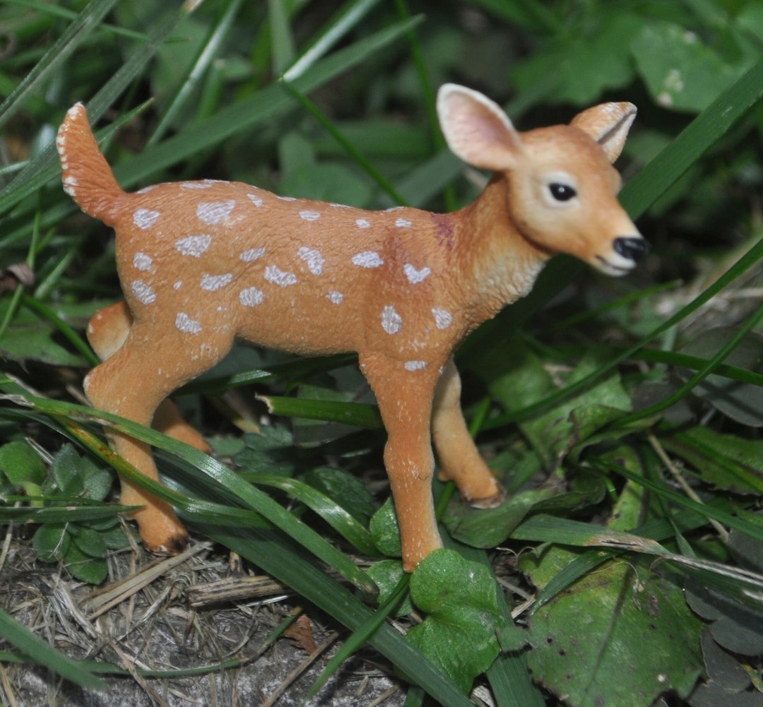 Schleich White-tailed Fawn #14820 - Figurine for Diorama, OOAK, Repaint ...