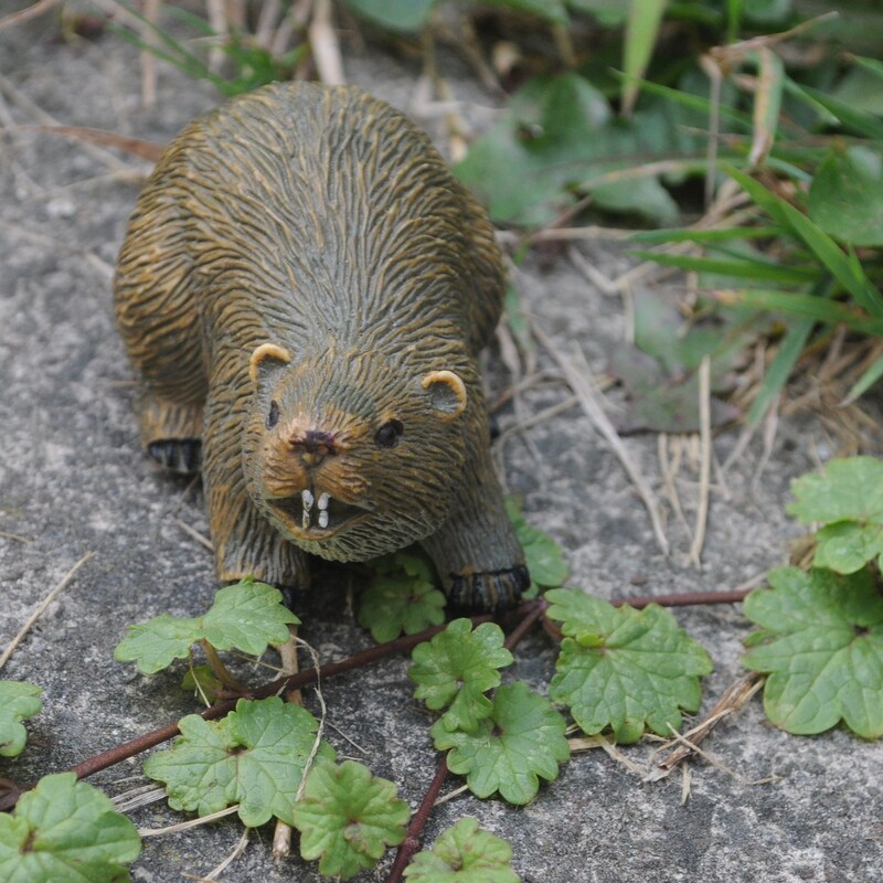 Miniature Beaver - Etsy