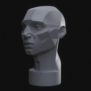 3D Printed Asaro Head: Art Study Tool, Customizable Gift - Etsy