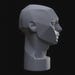 3D Printed Asaro Head: Art Study Tool, Customizable Gift - Etsy