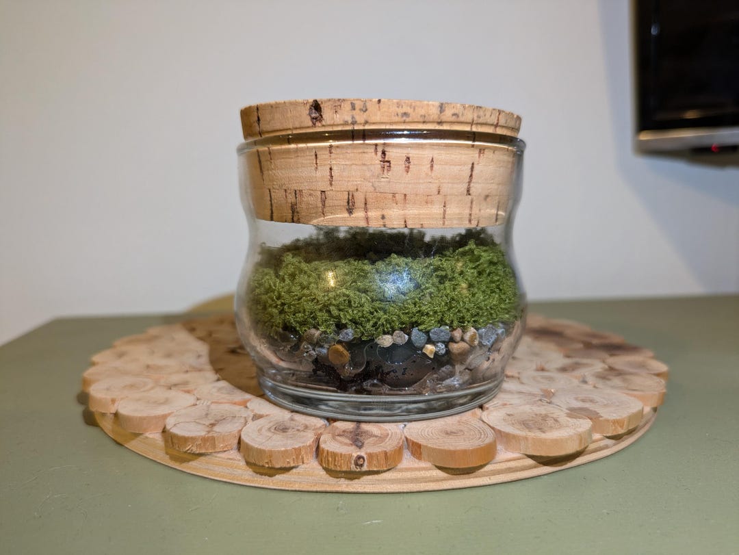 Artificial Terrarium Short Jar Obsidian Meadow - Etsy