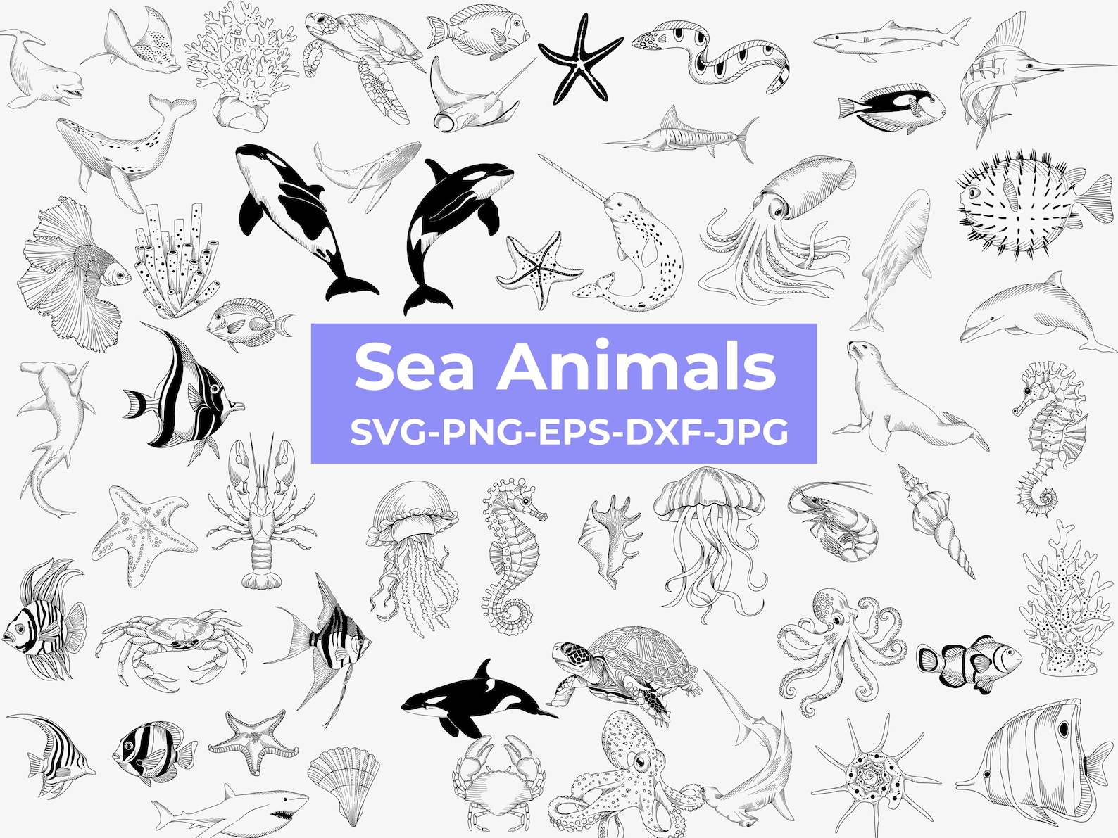 Sea Animals Line Art Collection Svg, Sea Animals Line Art Svg, Undersea ...