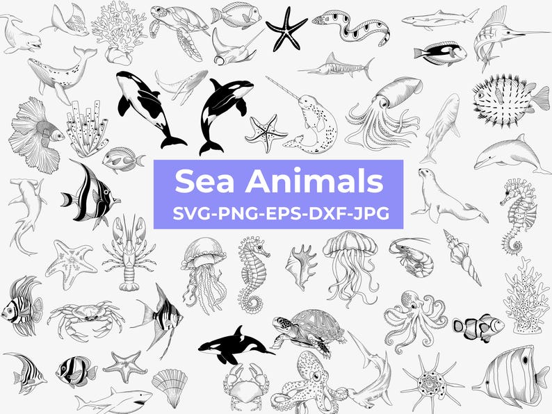 Sea Animals Line Art Collection Svg, Sea Animals Line Art Svg, Undersea ...