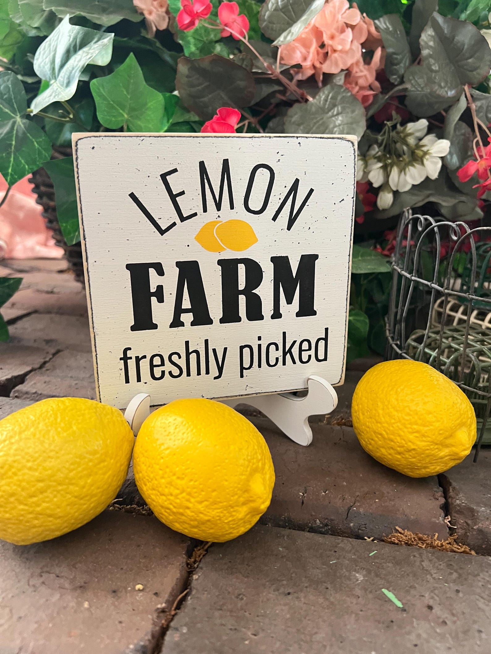 Hand Painted Lemon Signs: Mini Farmhouse Kitchen Decor (5"), Gift for ...