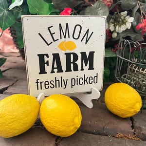 Hand Painted Lemon Signs: Mini Farmhouse Kitchen Decor (5"), Gift for ...