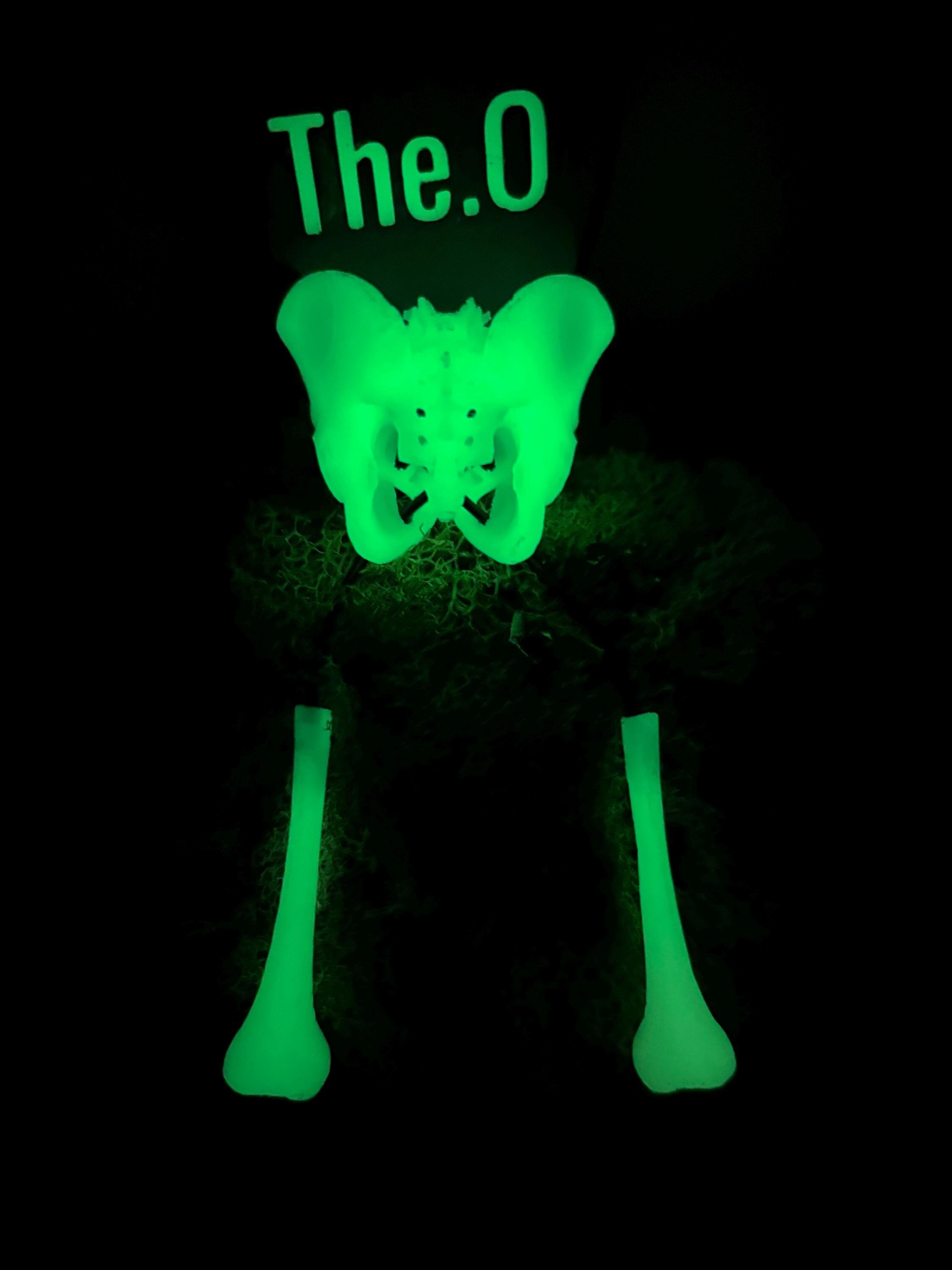 Pelvis Bone Glow Bolo, Sleek Goth Bolo Tie, Glow in the Dark/uv ...