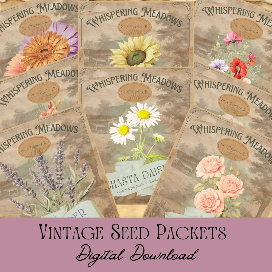 Printable Vintage Seed Packets, Junk Journal Ephemera, Flower Seed ...