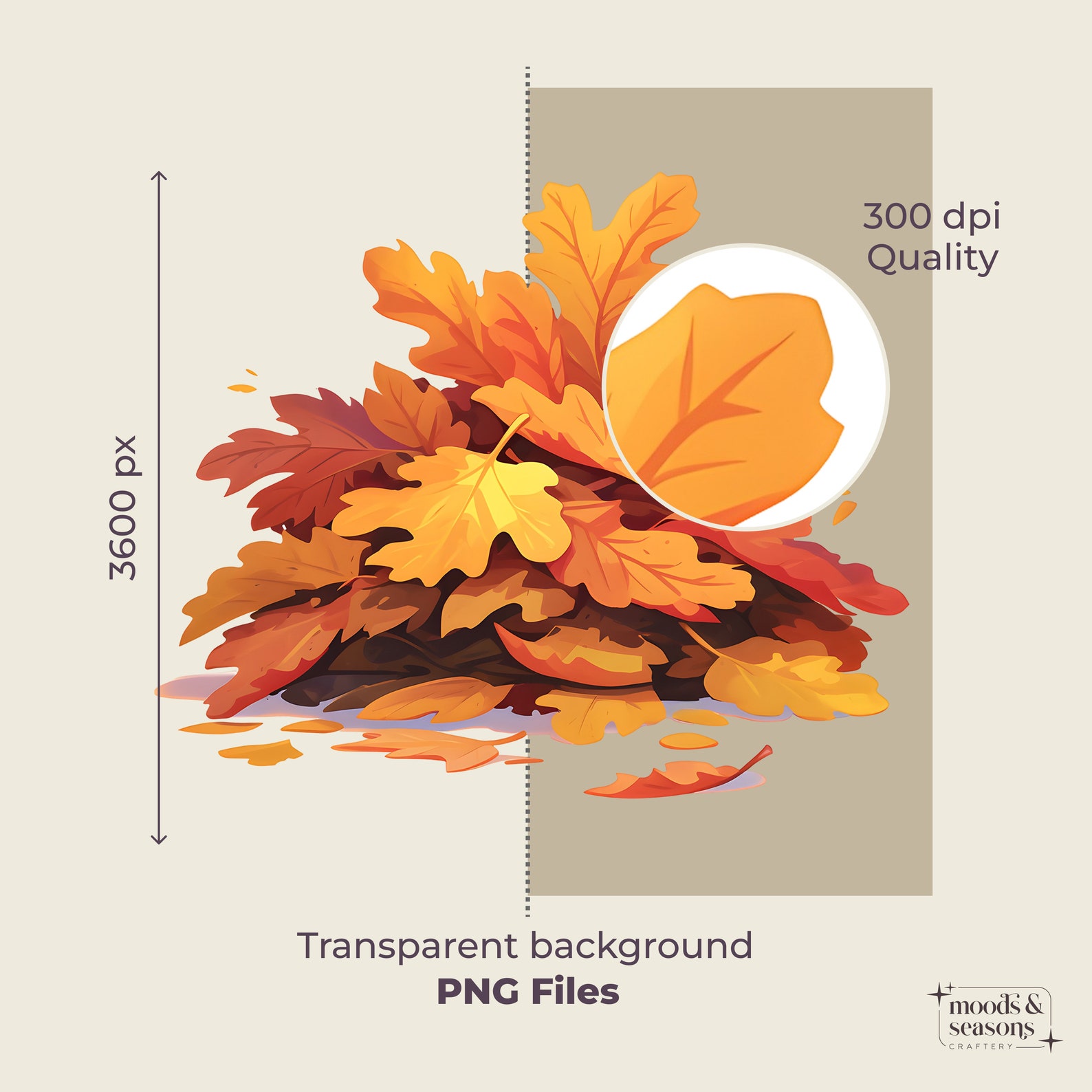 24 Autumn Leaves Cliparts - 300 DPI Png - for Planner - Wallart ...