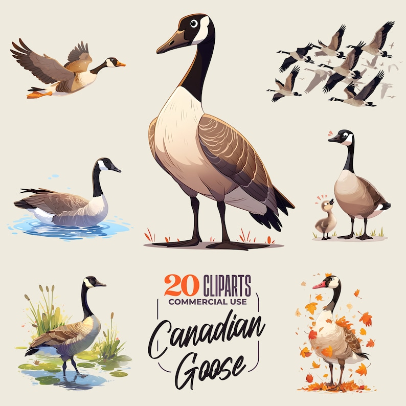 Canadian Goose Clipart – 20 Funny Animal Pngs (digital Download) - Etsy
