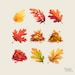 Autumn Leaves Clipart – Fall Nature Graphics, Planner Journal (digital ...