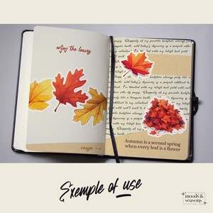 Autumn Leaves Clipart – Fall Nature Graphics, Planner Journal (digital ...