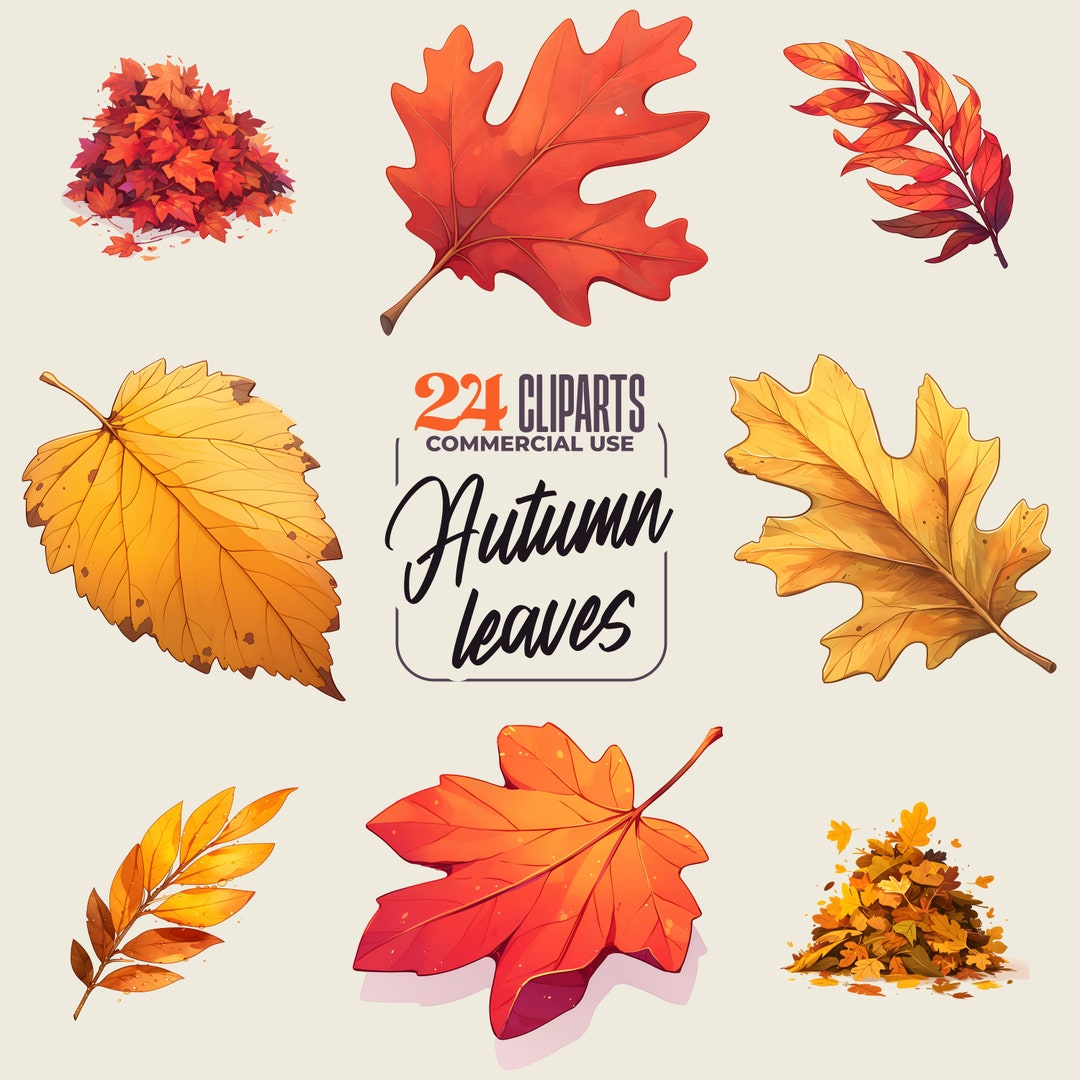 24 Autumn Leaves Cliparts - 300 DPI Png - for Planner - Wallart ...