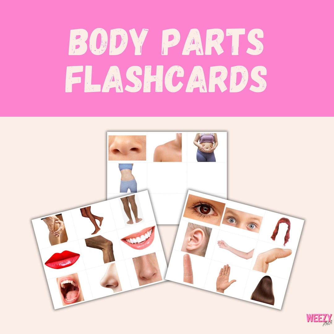 Body Parts Flashcards | Real Photo Cards for ABA Therapy (digital ...