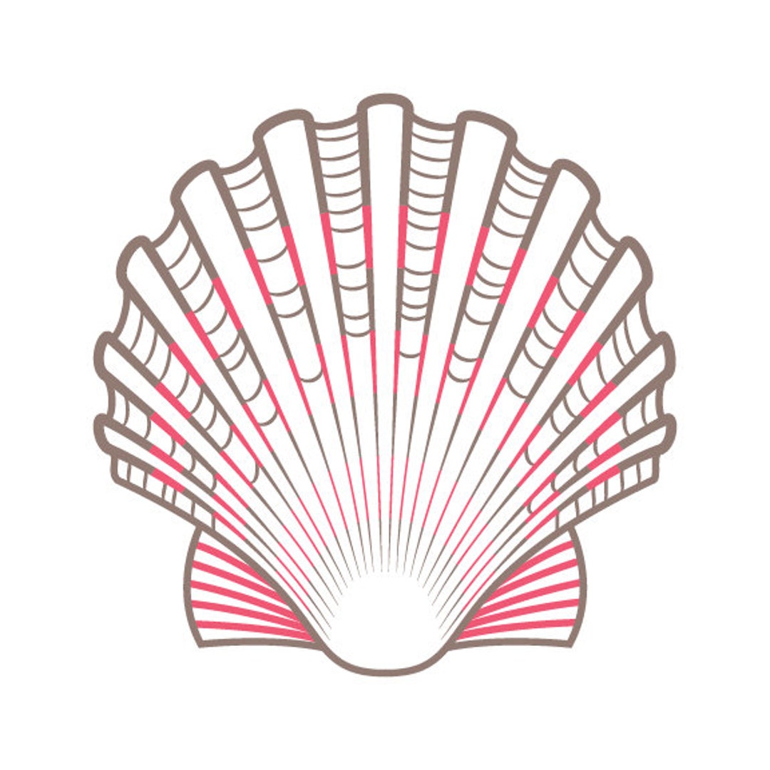 Scallop Shell PDF Hand Embroidery Pattern - Etsy