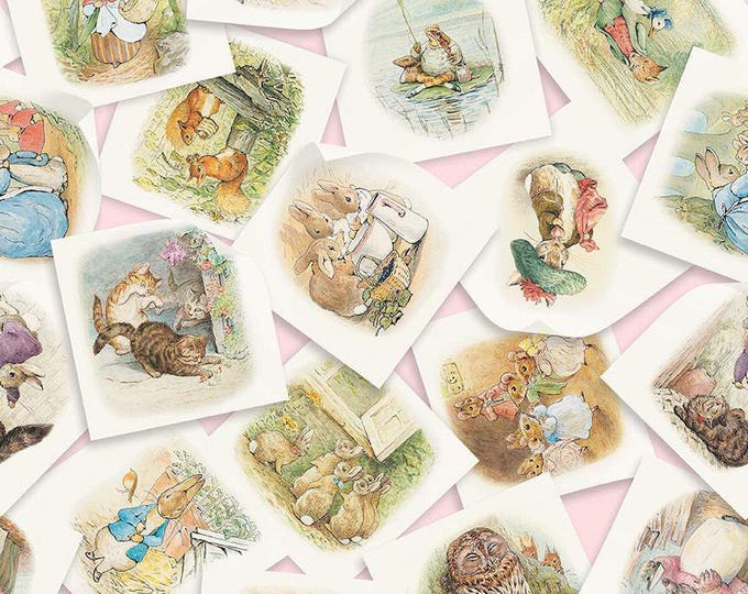 Zig the Flying Ace Children's Fabric Double Border 44 Inches Wide From ...