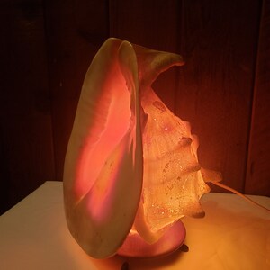 Mid-century Modern Large Conch Shell Table Lamp - Coastal Beach Decor ...