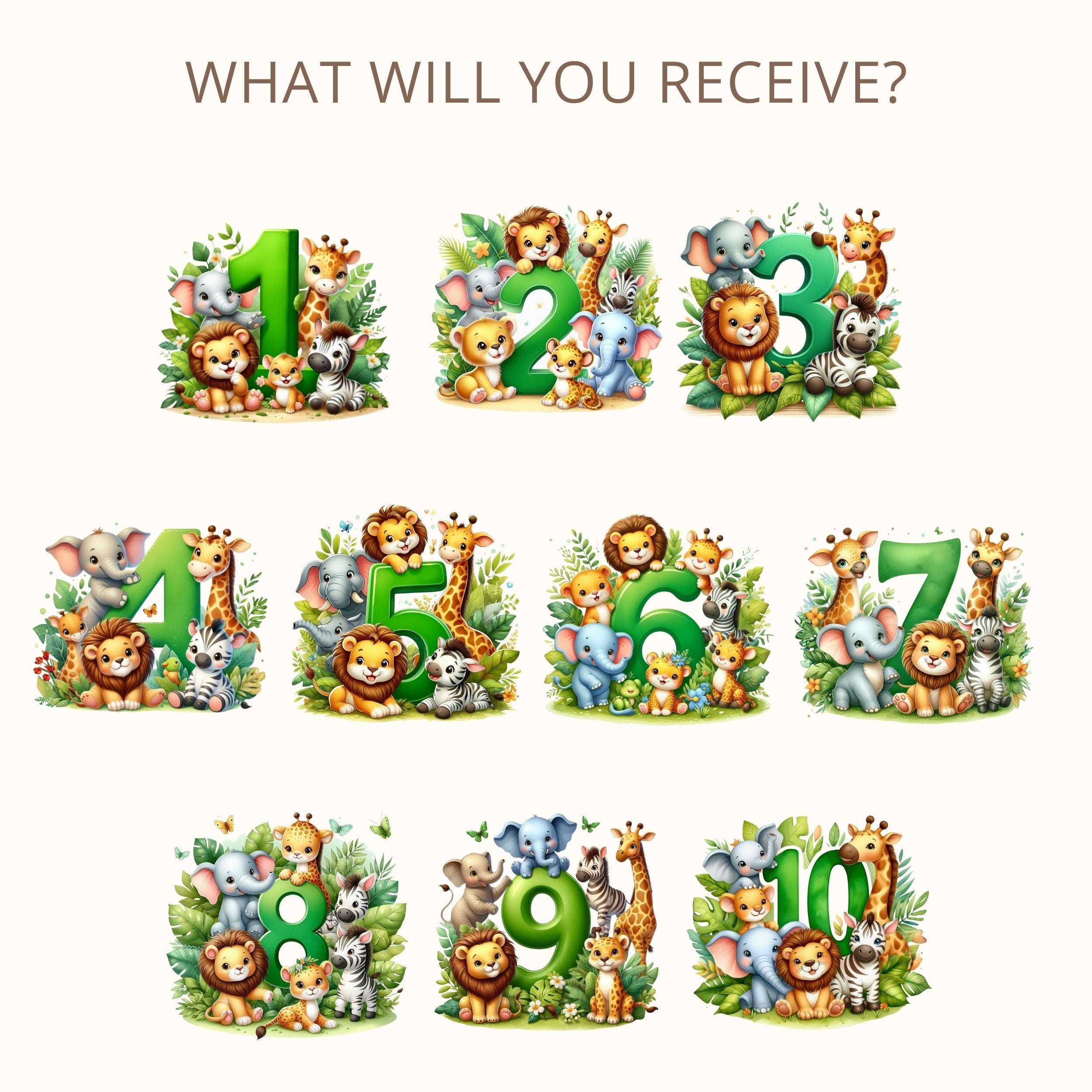 Safari Animals Birthday Numbers PNG Bundle | Kids Jungle Clipart ...