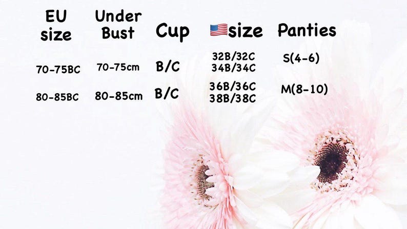 Mesh Lingerie Boudoir Lingerie Plus Size Lingerie Elegant Lingerie ...
