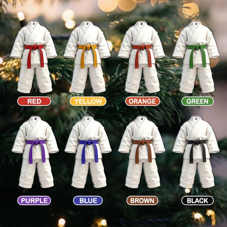 Personalized Karate 2D Flat Acrylic Ornament, Karate Ornament ...