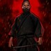 Jiri Prochazka Czech Samurai - Etsy